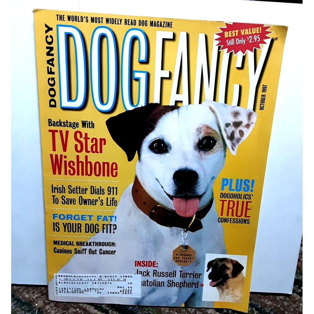 Dog Fancy Magazine October 1997 TV Star Wishbone Jack Russell Terrier - Etsy