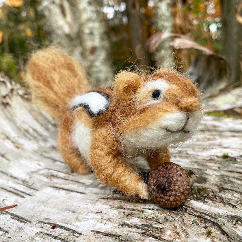 Chipmunk Needle-felt Kit Poseable Chipmunk DIY Kit | Etsy