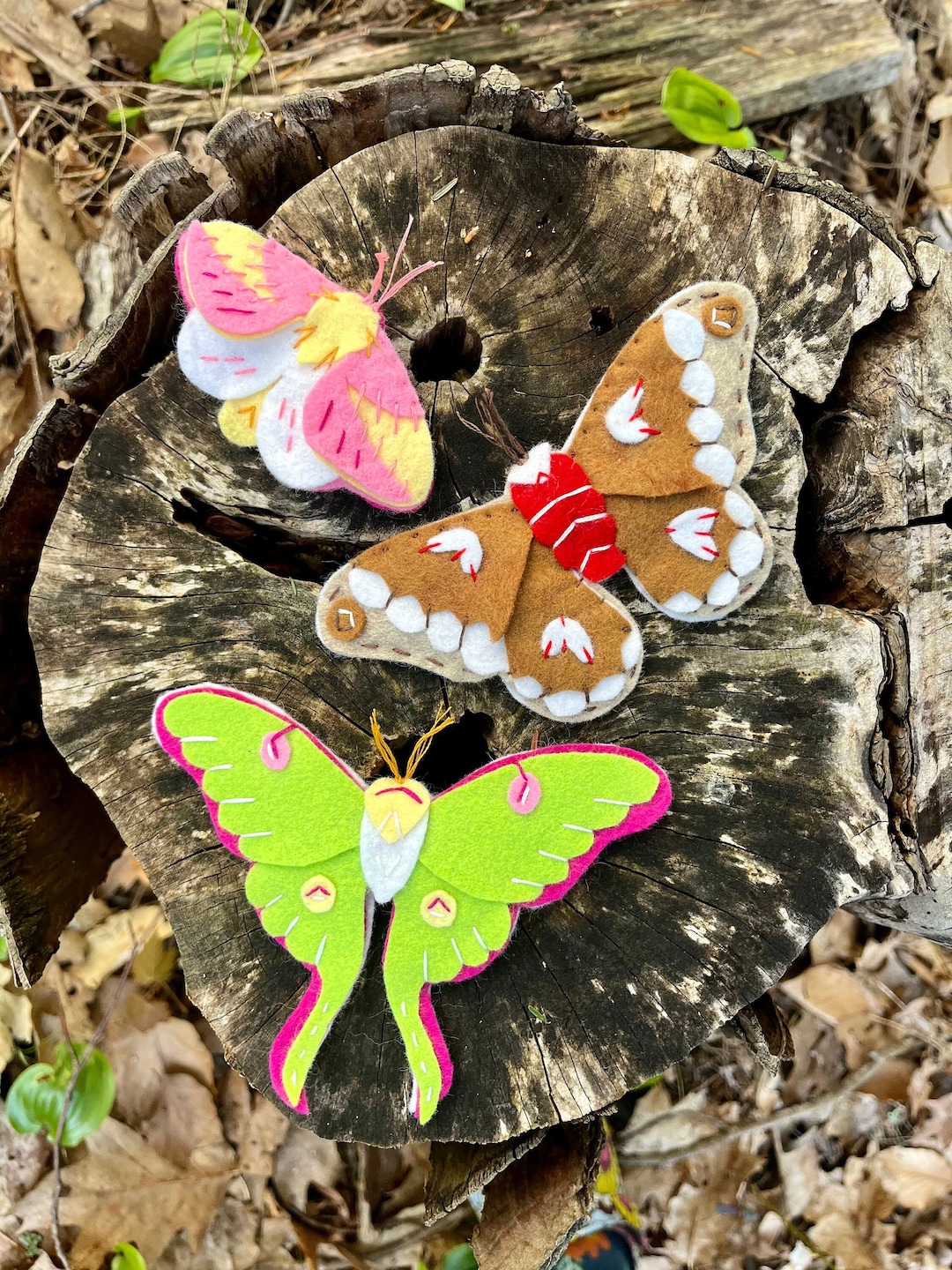 Luna, Cecropia, Rosy Maple Moth Ornaments, Moth Ornament Kit, Luna Moth ...