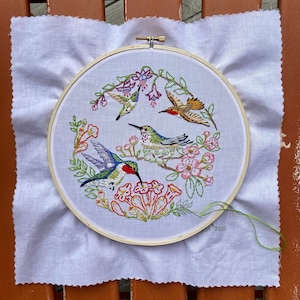 Hummingbird Embroidery, Hummingbird Embroidery Kit, Ruby Throated, Anna ...