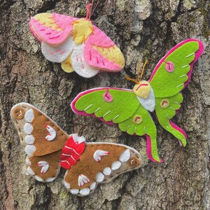 Moth Ornament PDF Pattern, Luna Moth, Cecropia Moth, Rosy Maple Moth ...