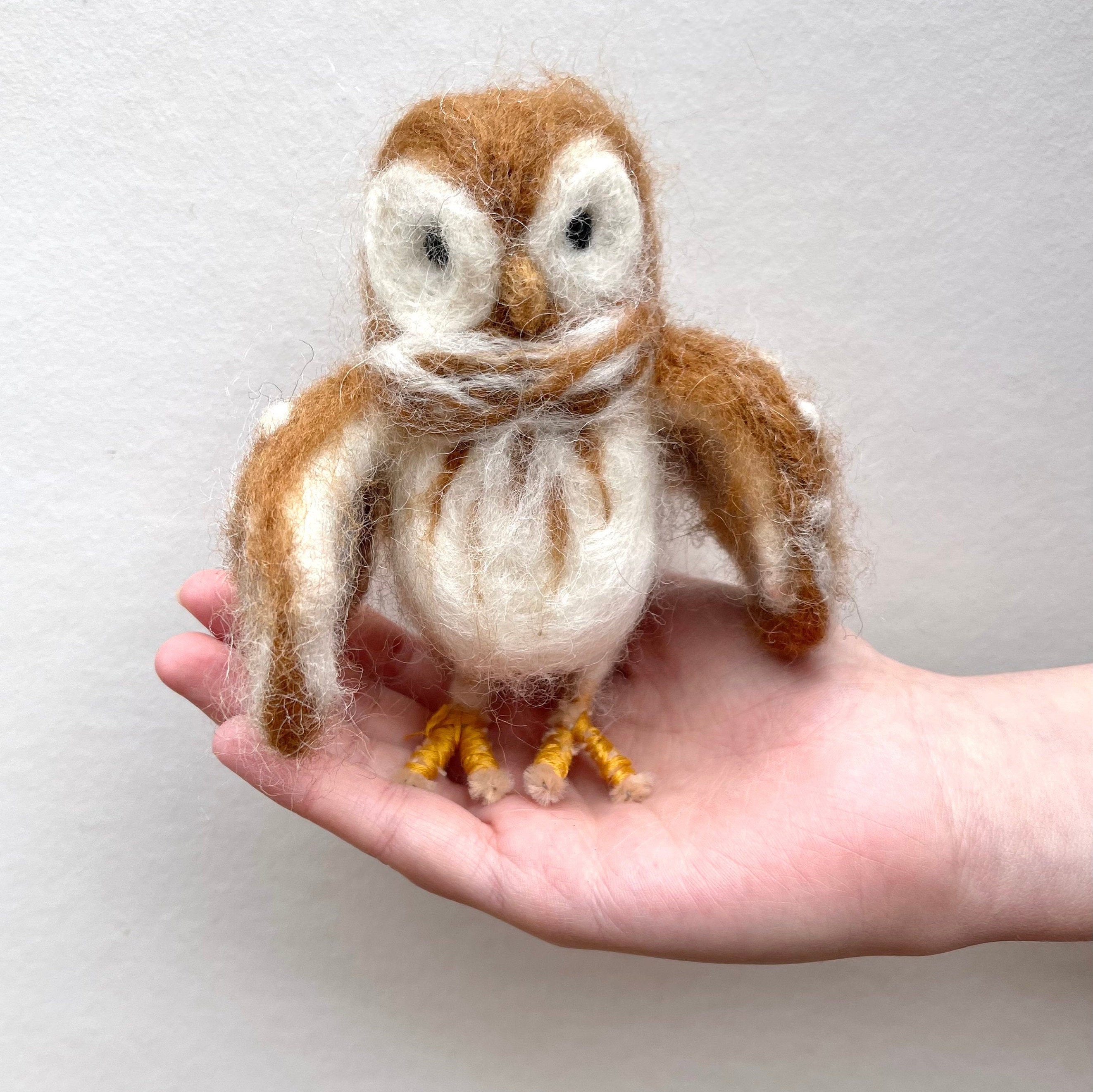 Owl Needle-felt Kit Poseable Owl DIY Owl Kit Barred Owl | Etsy