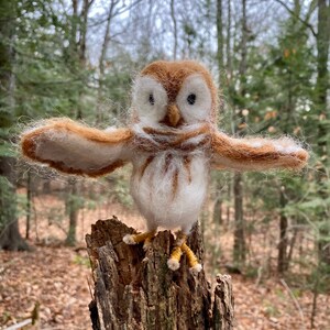 Owl Needle-felt Kit, Poseable Owl, DIY Owl Kit, Barred Owl, Needle ...
