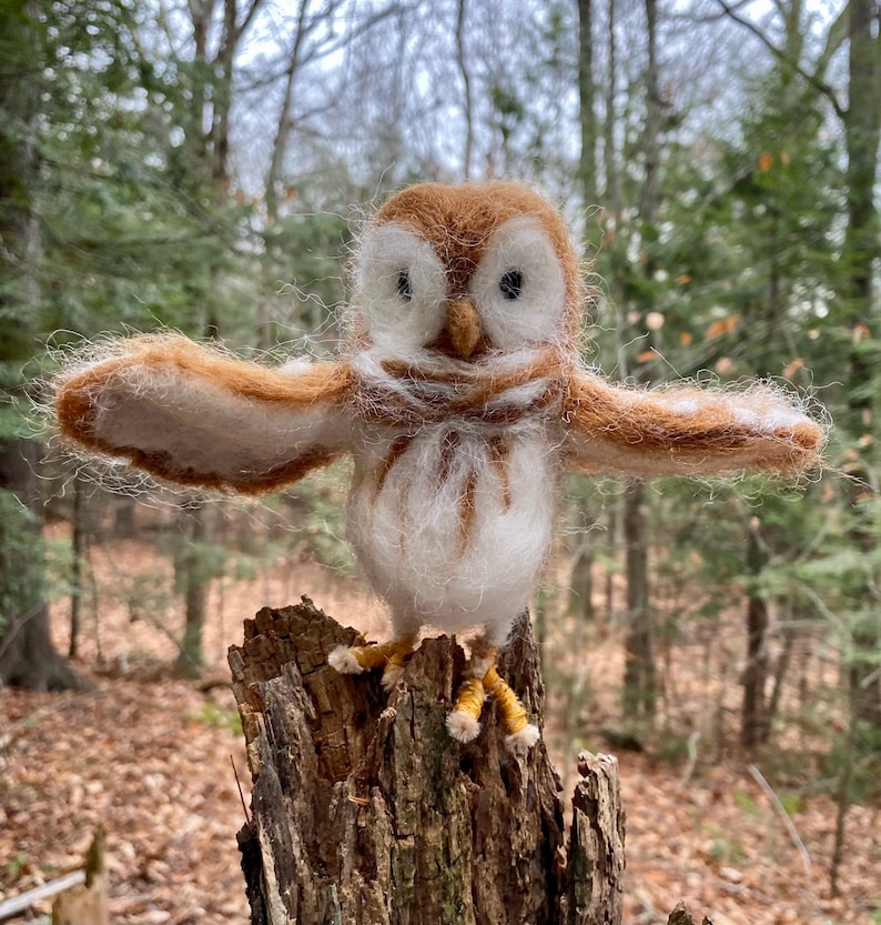 Owl Needle-felt Kit Poseable Owl DIY Owl Kit Barred Owl | Etsy