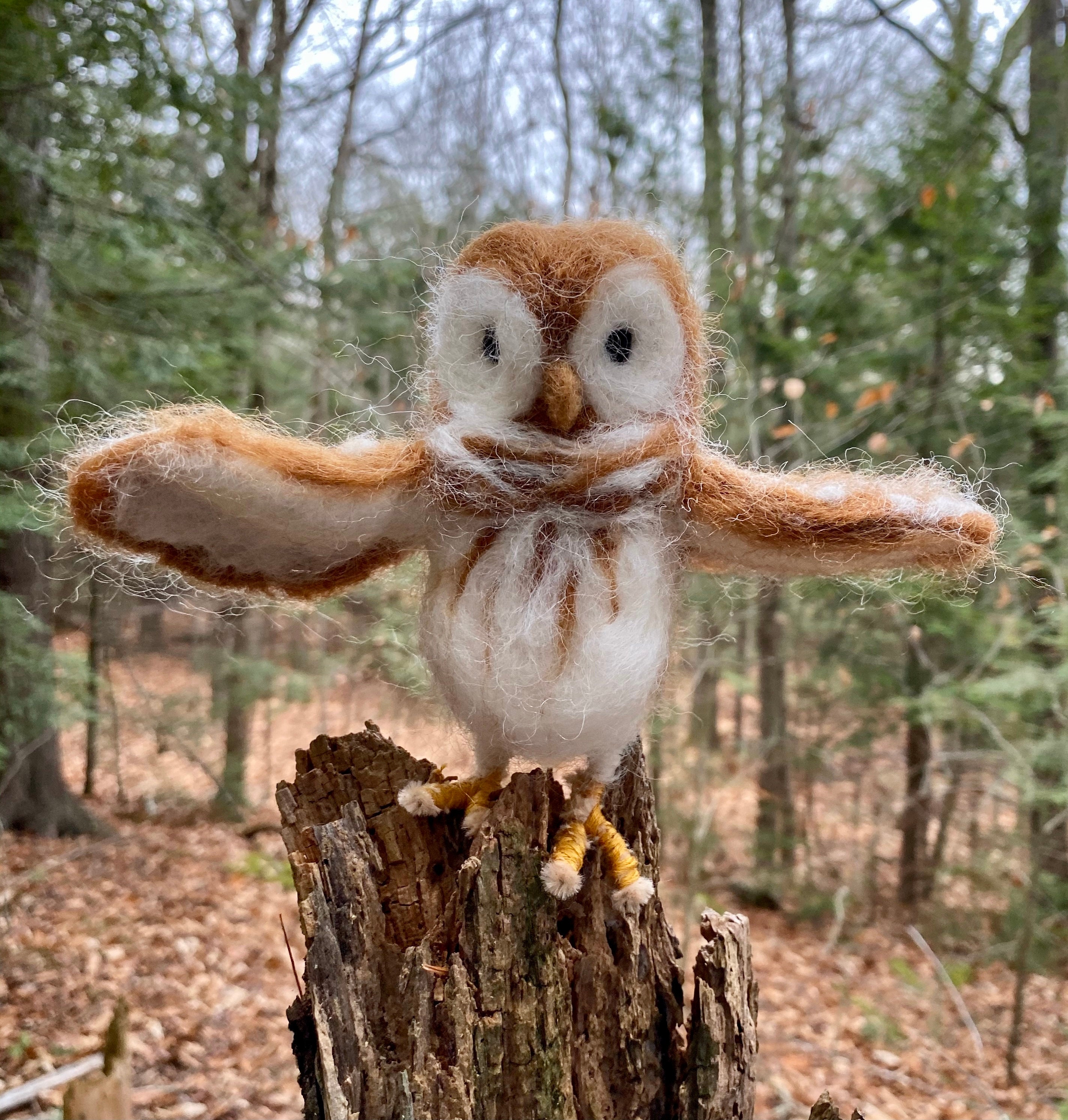 Owl Needle-felt Kit Poseable Owl DIY Owl Kit Barred Owl | Etsy