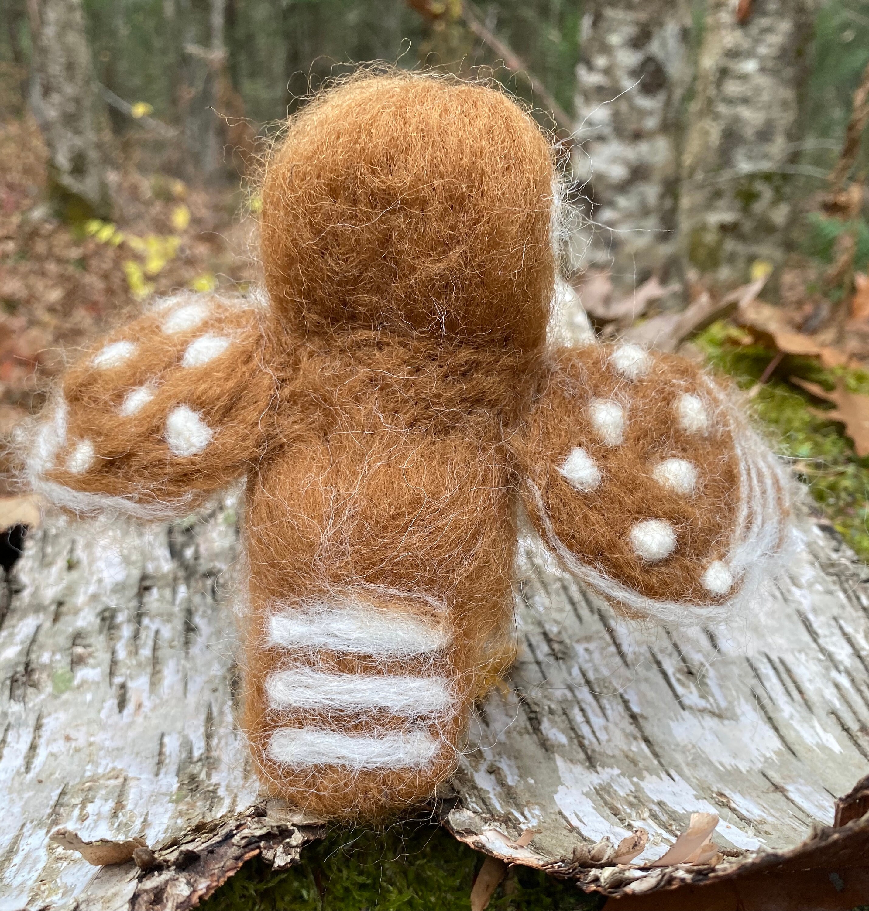 Owl Needle-felt Kit Poseable Owl DIY Owl Kit Barred Owl | Etsy