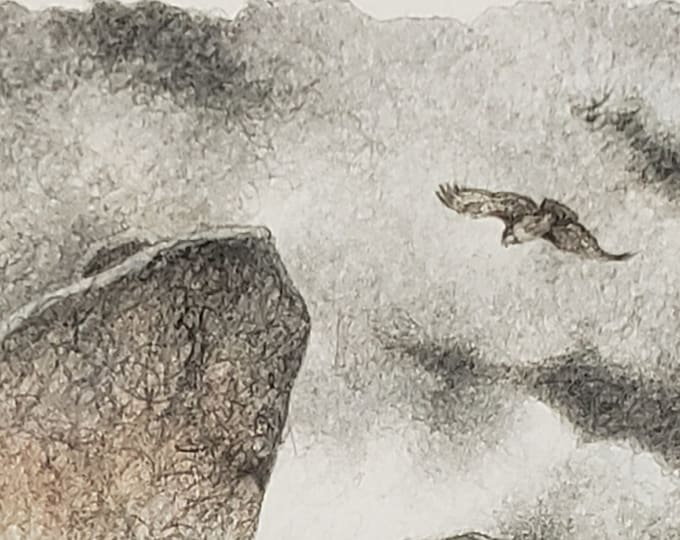 Red Tailed Hawk Print - Etsy