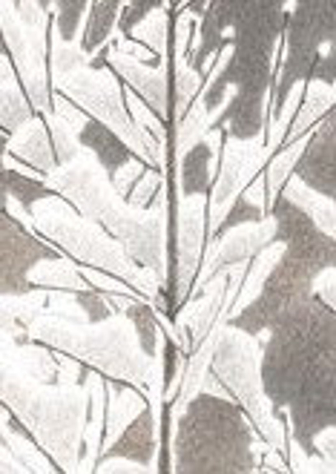 Crow Tracks Signed and Numbered Giclee Print - Etsy