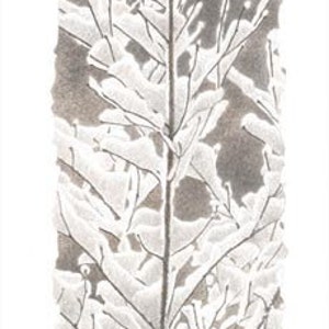 Crow Tracks Signed and Numbered Giclee Print - Etsy