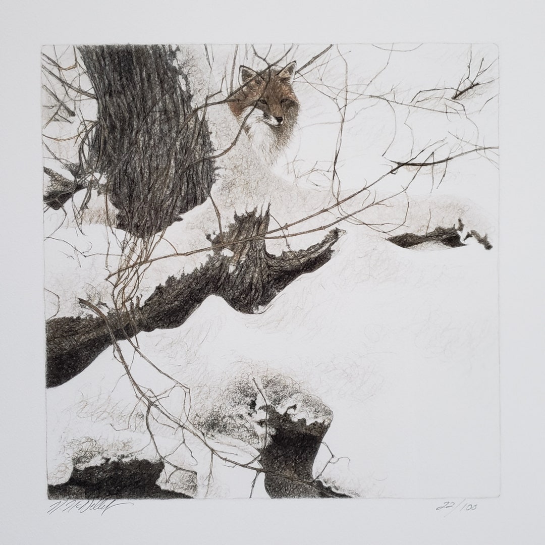 Red Fox Limited Edition Giclee' Print - Etsy