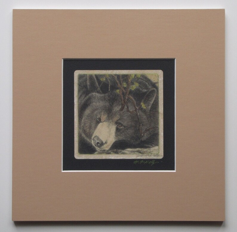 Black Bear Matted/signed Giclee Print - Etsy