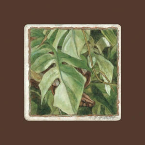 Boa Constrictor - Etsy