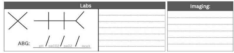 SOAP Note- Progress Note Template for Internal Medicine Residents and ...
