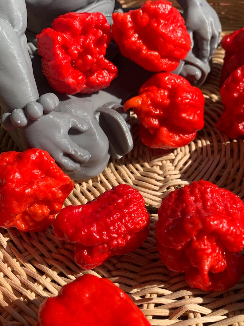 Deadpool Pepper Seeds (8) SUPER HOT - Limited Supply - Etsy