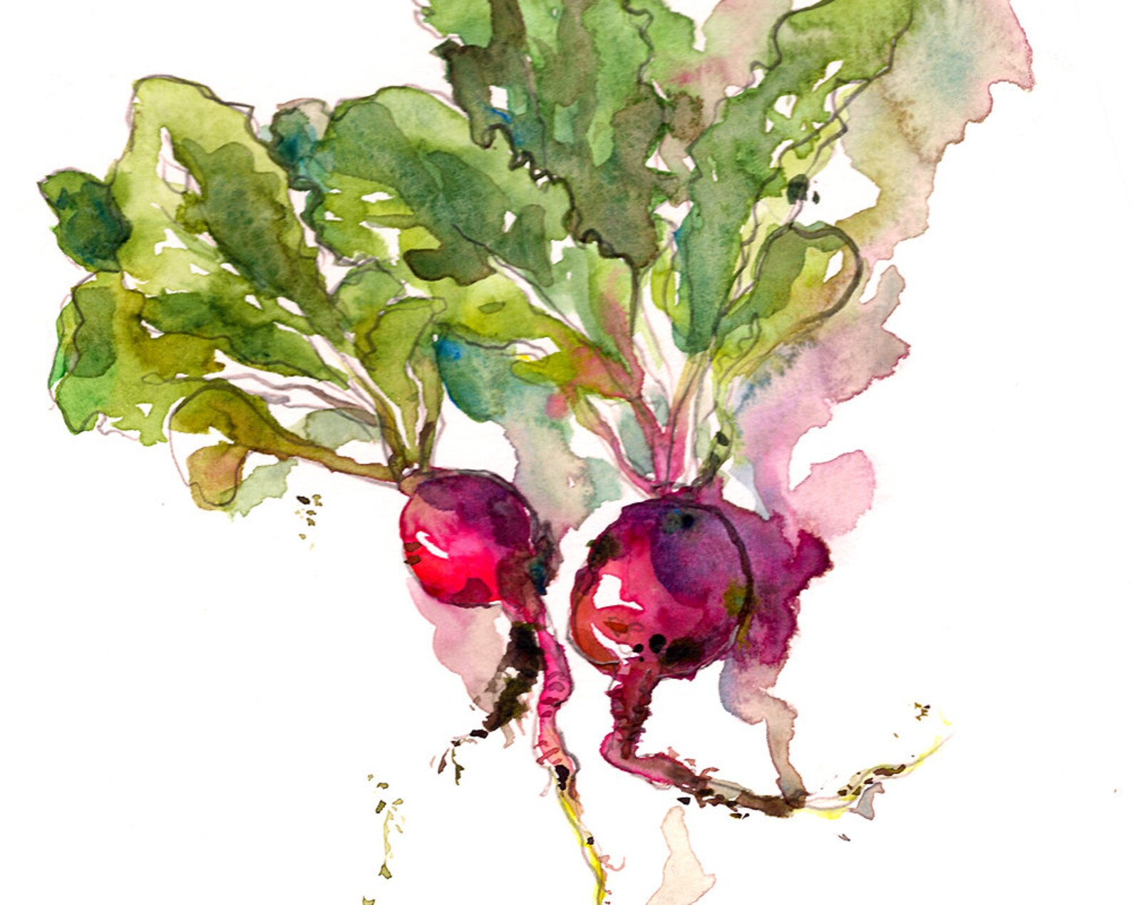 Kitchen Art Spring Gardening Radish Watercolor 8x10 Print - Etsy