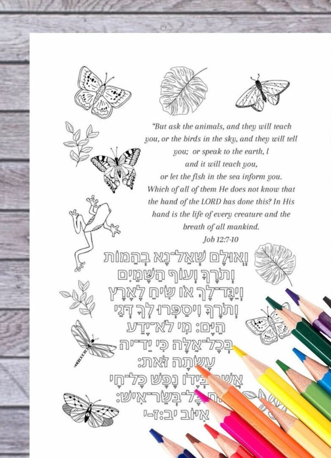 Hebrew Bible Verses Coloring Pages Digital Download - Etsy