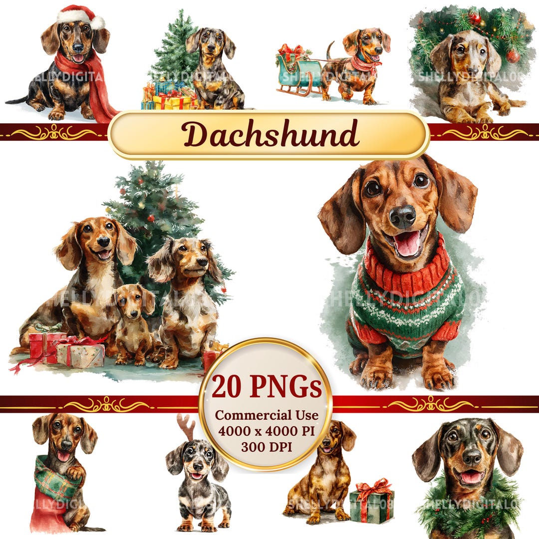 Aquarelle de Noël teckel Clipart PNG Bundle vacances mignon art mural ...