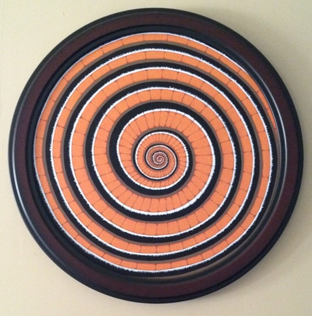 Chinese Sundial Shell Mandala Acrylic Painting - Etsy