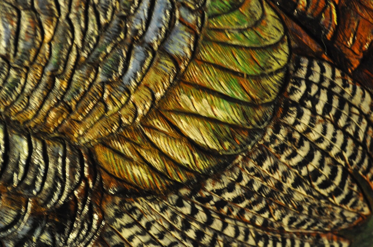 Handcarved Embossed Leather Wild Turkey Picture - Etsy