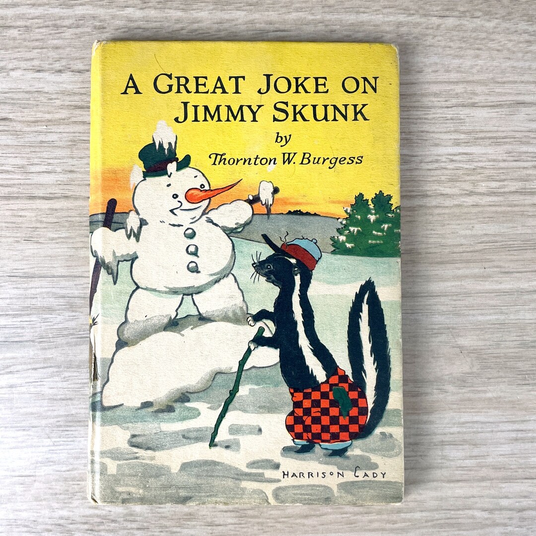 Jimmy Skunk 1927 Children's Book – Harrison Cady Illustration - Etsy