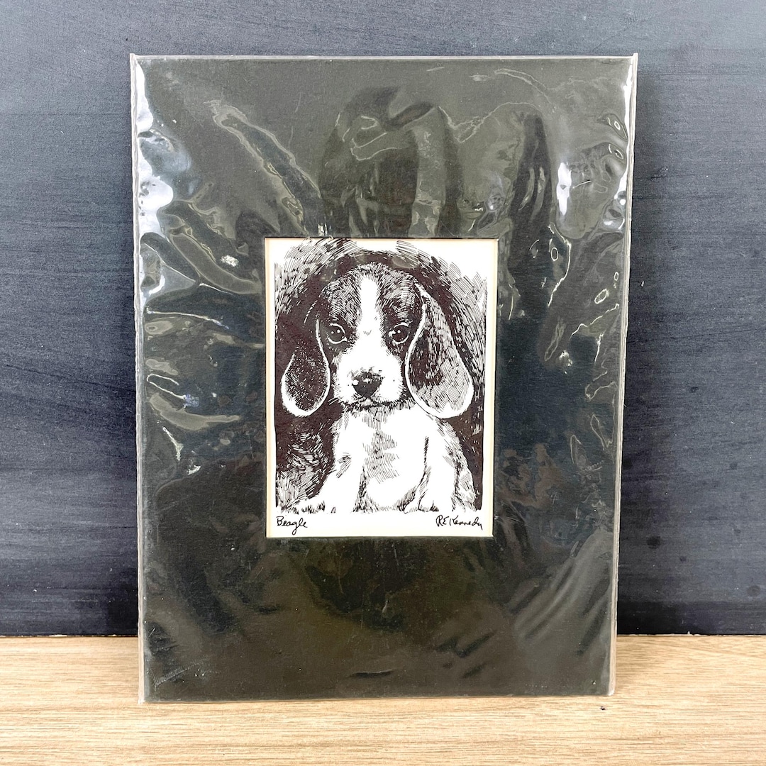 Small Beagle Pen and Ink Print From R.E. Kennedy - 1970s Accent Art - Etsy