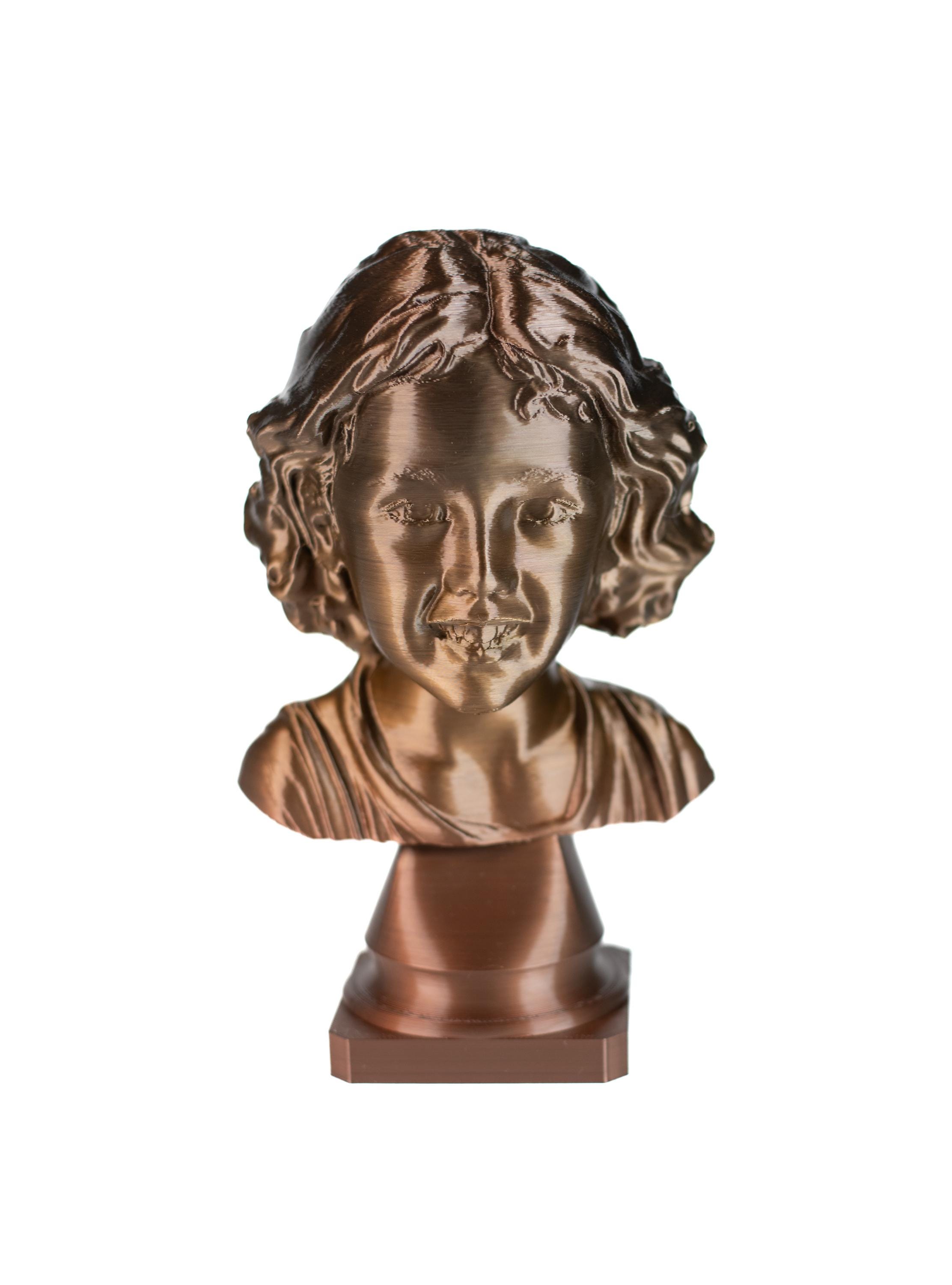 Custom 3D Printed Bronze Portrait Bust – From Your Photo | Sonoran ...