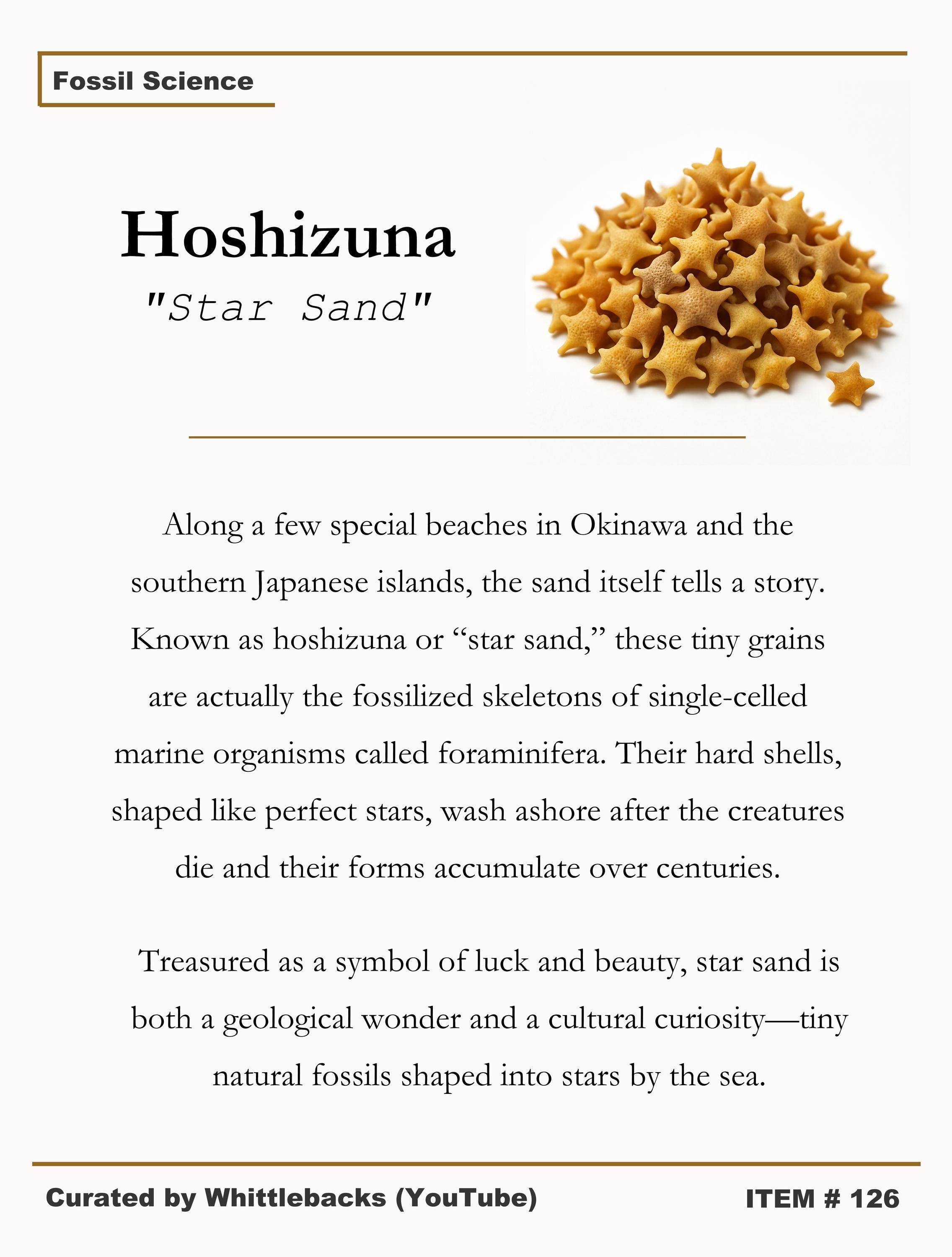 Japanese Star Sand - Hoshizuna Fossils Lucky Star-shaped Sand in Glass ...