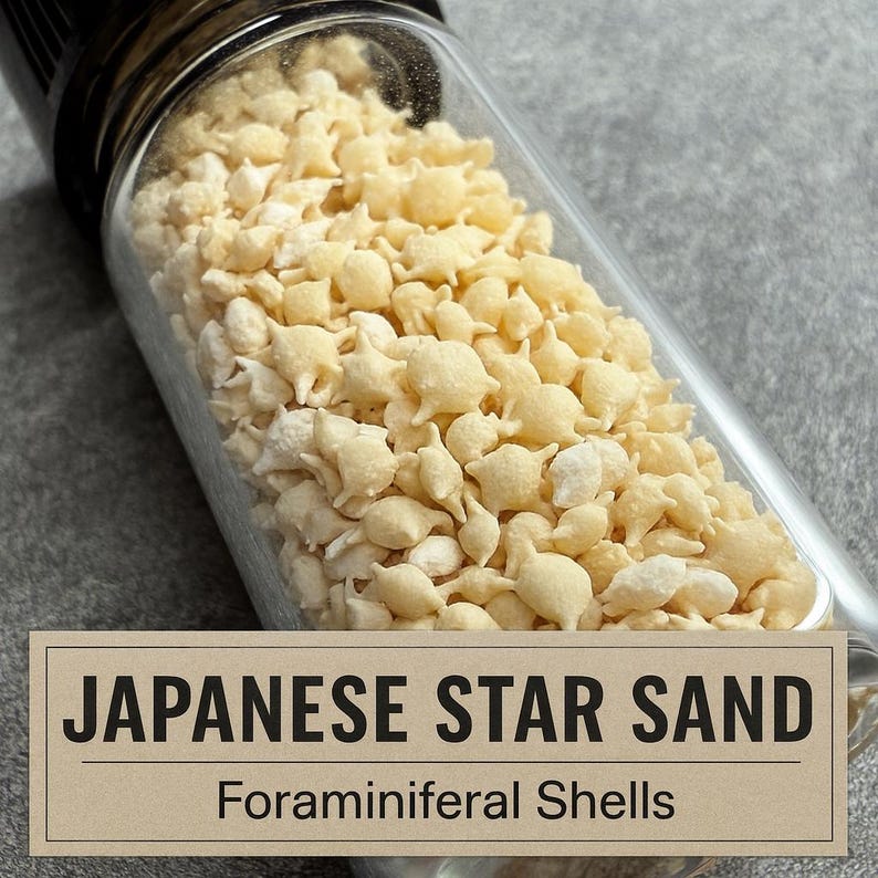 Japanese Star Sand - Hoshizuna Fossils Lucky Star-shaped Sand in Glass ...