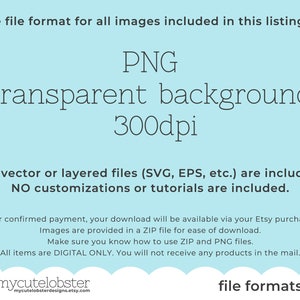 Rainbow Scalloped Circle Frames Clipart Set Clip Art Set - Etsy