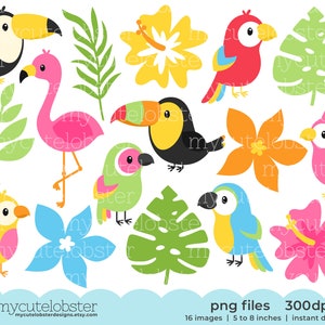 Tropical Birds Clipart Cute Birds, Parrots, Toucans, Tropical Clipart ...