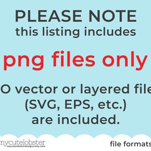 Bunting Clipart Set Rainbow Brights Clip Art Set of Patterned Bunting ...