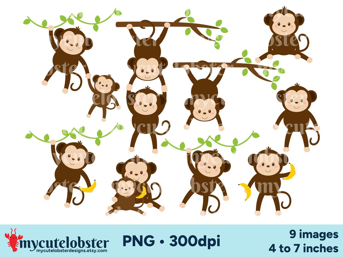 Monkeys Clipart - Set of Animal Graphics, Jungle Monkeys, PNG Digital ...