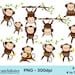 Monkeys Clipart - Set of Animal Graphics, Jungle Monkeys, PNG Digital ...