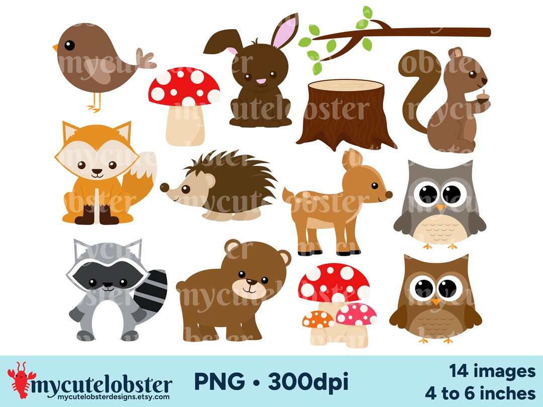 Woodland Animals Clipart - Set of Forest Animals, Fox, Hedgehog, PNG ...