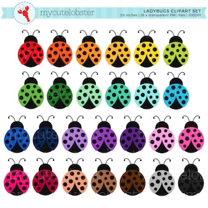 Rainbow Ladybugs Clipart Set Ladybirds, Bugs, Cute Rainbow Clip Art ...