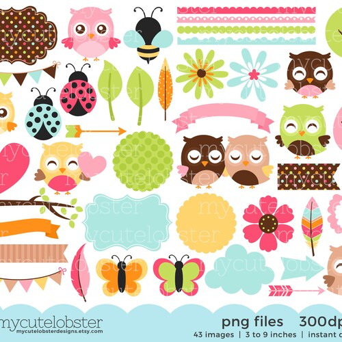 Cute Owl Borders And Frames