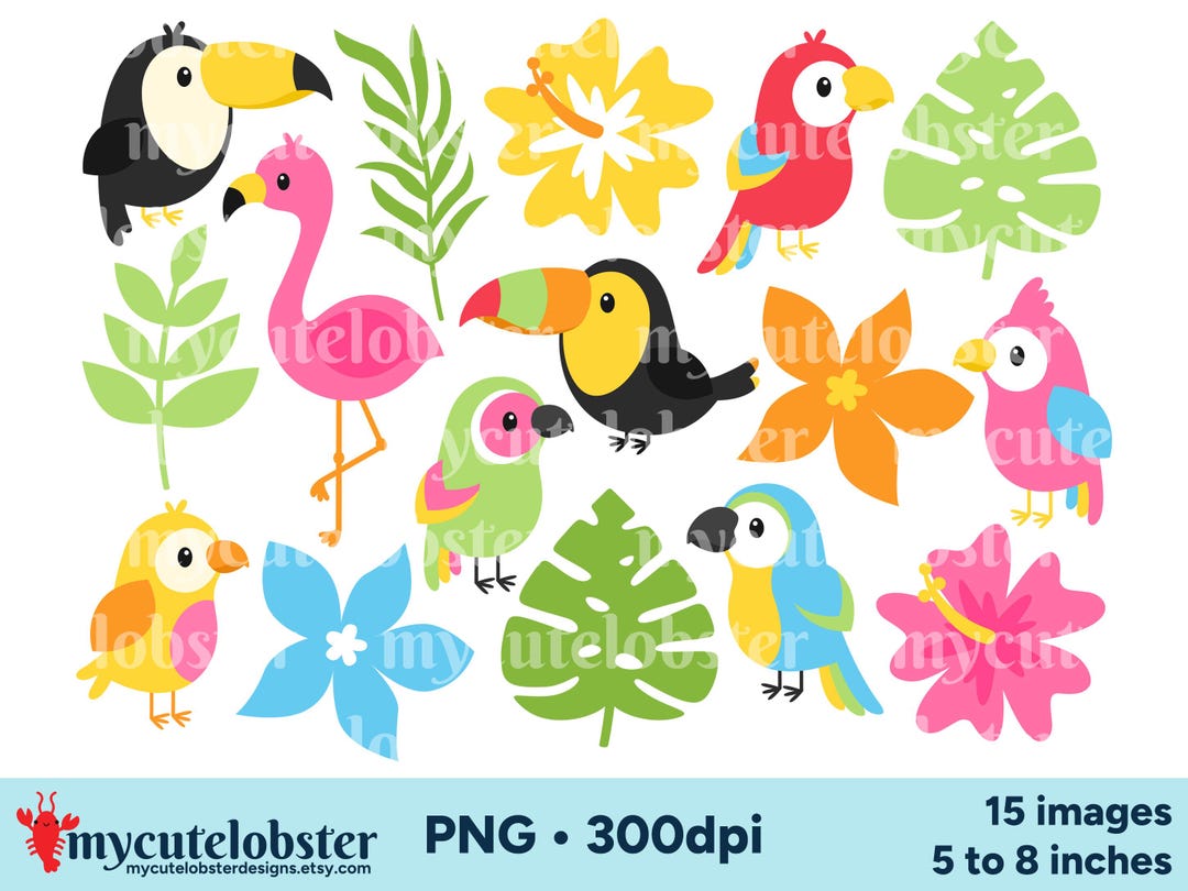 Tropical Birds Clipart - Cute Birds, Parrots, Toucans, Tropical Clipart ...