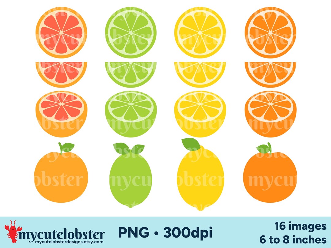 Fruit Clipart - Set of Citrus Fruit Clip Art, Lemon Clipart, Lime ...