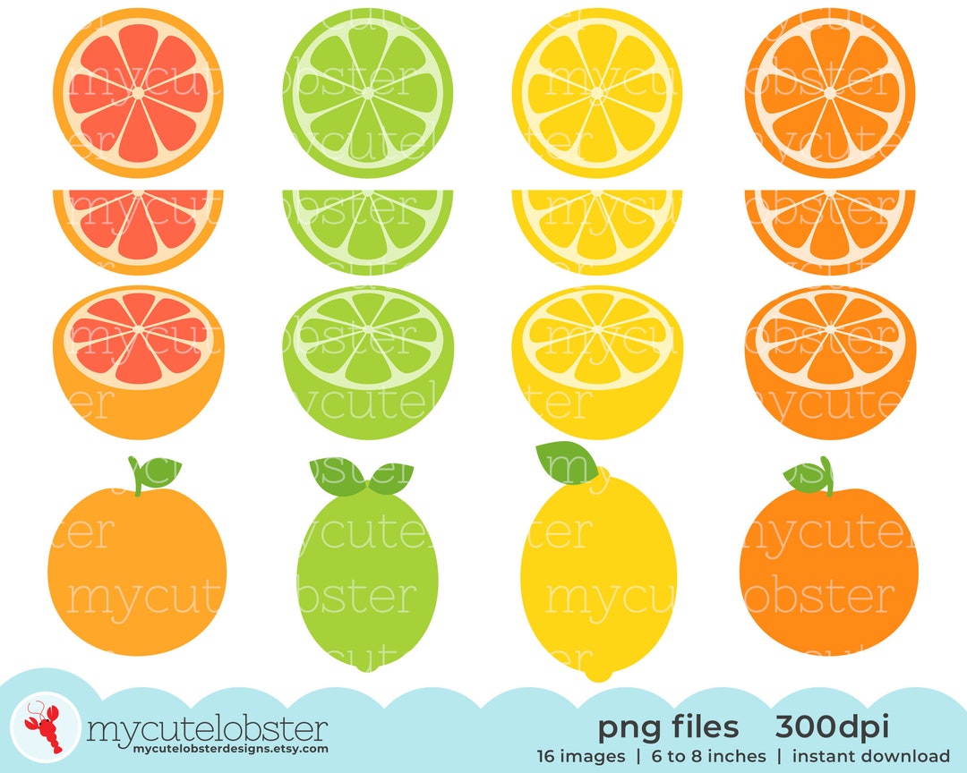 Citrus Fruit Clipart Set of Fruit, Lemon, Grapefruit, Lime, Orange ...