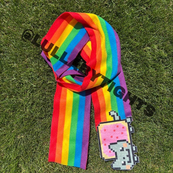 Nyan Cat Plush - Etsy
