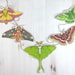 Colorful Moth Illustrated Garland - Etsy