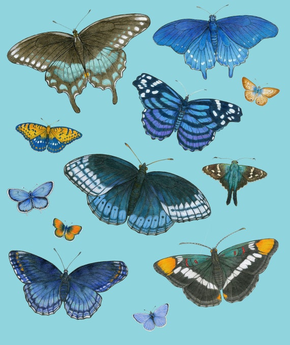 Blue Flutter 8x10 Archival Print | Etsy