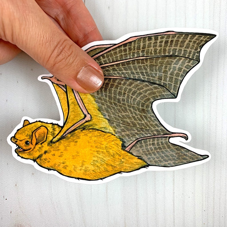 Eastern Red Bat Vinyl Sticker - Etsy
