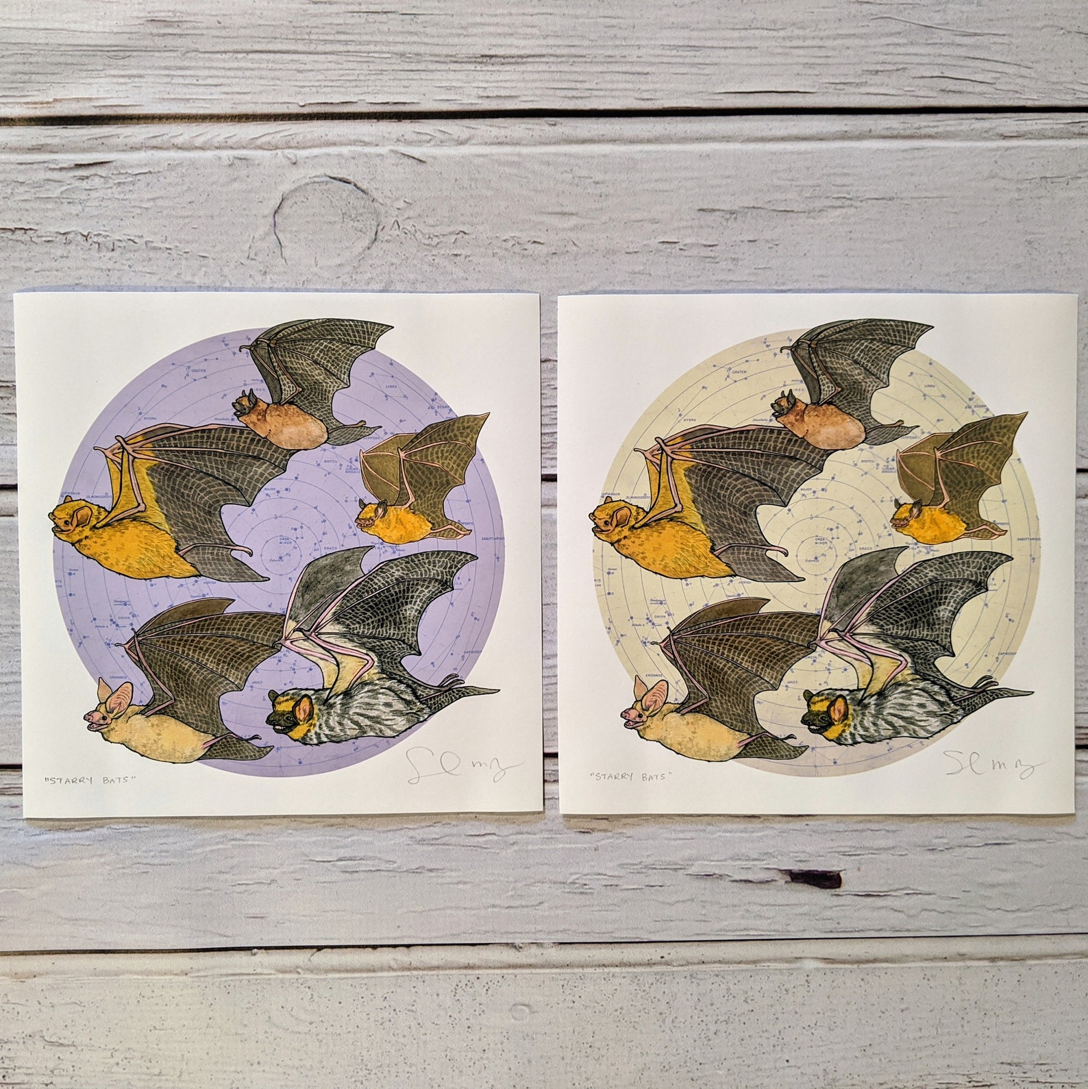 Starry Bats North American Native Bats Archival Print | Etsy