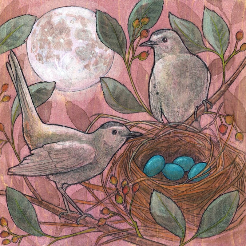 Catbird Painting - Etsy