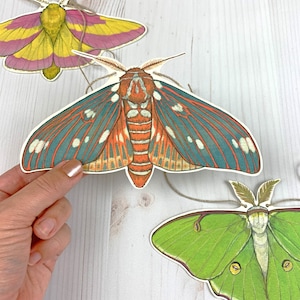 Colorful Moth Illustrated Garland - Etsy