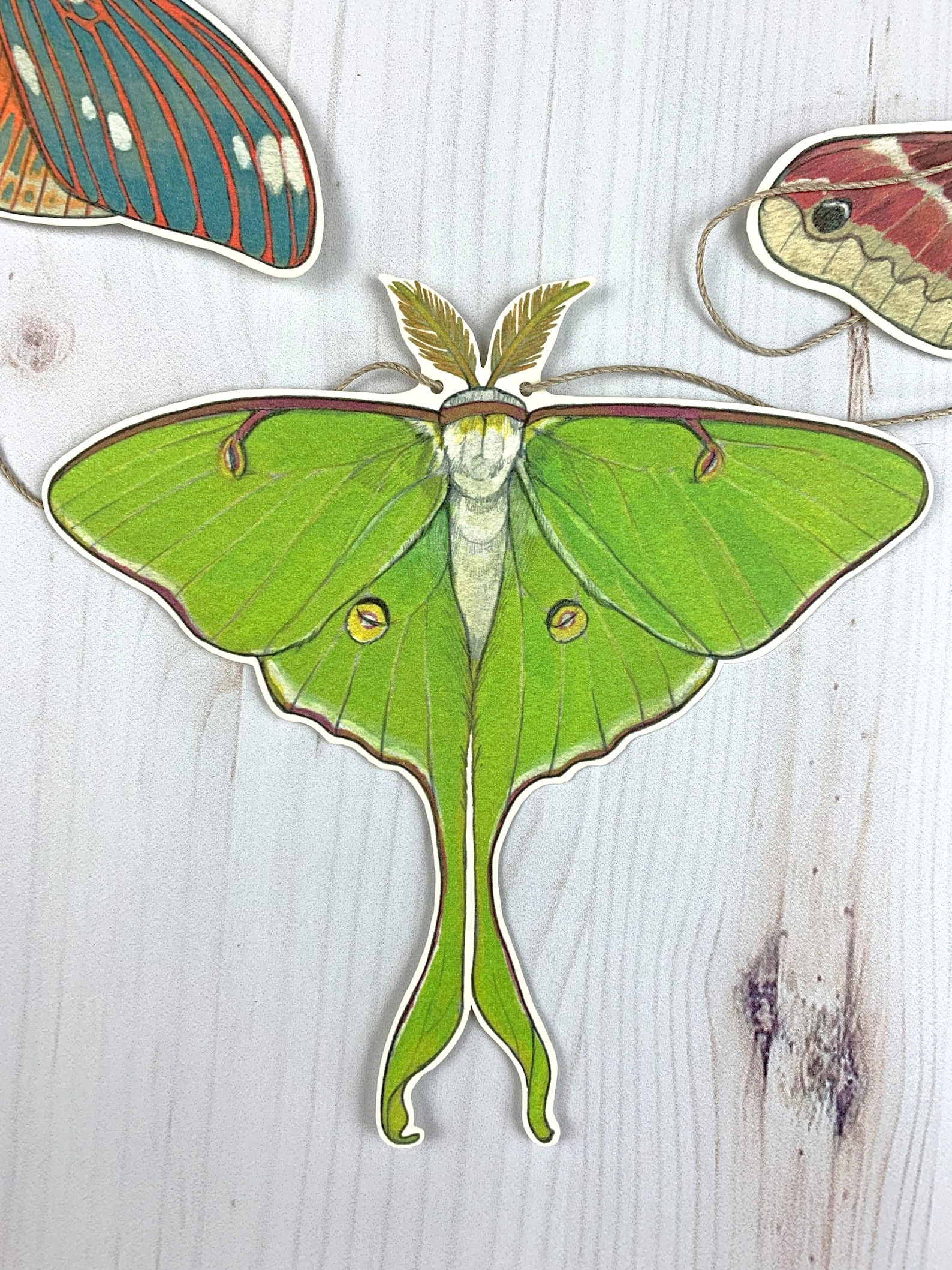 Colorful Moth Illustrated Garland - Etsy