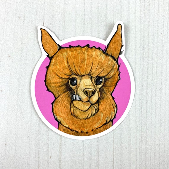 Alpaca Face Vinyl Sticker - Etsy