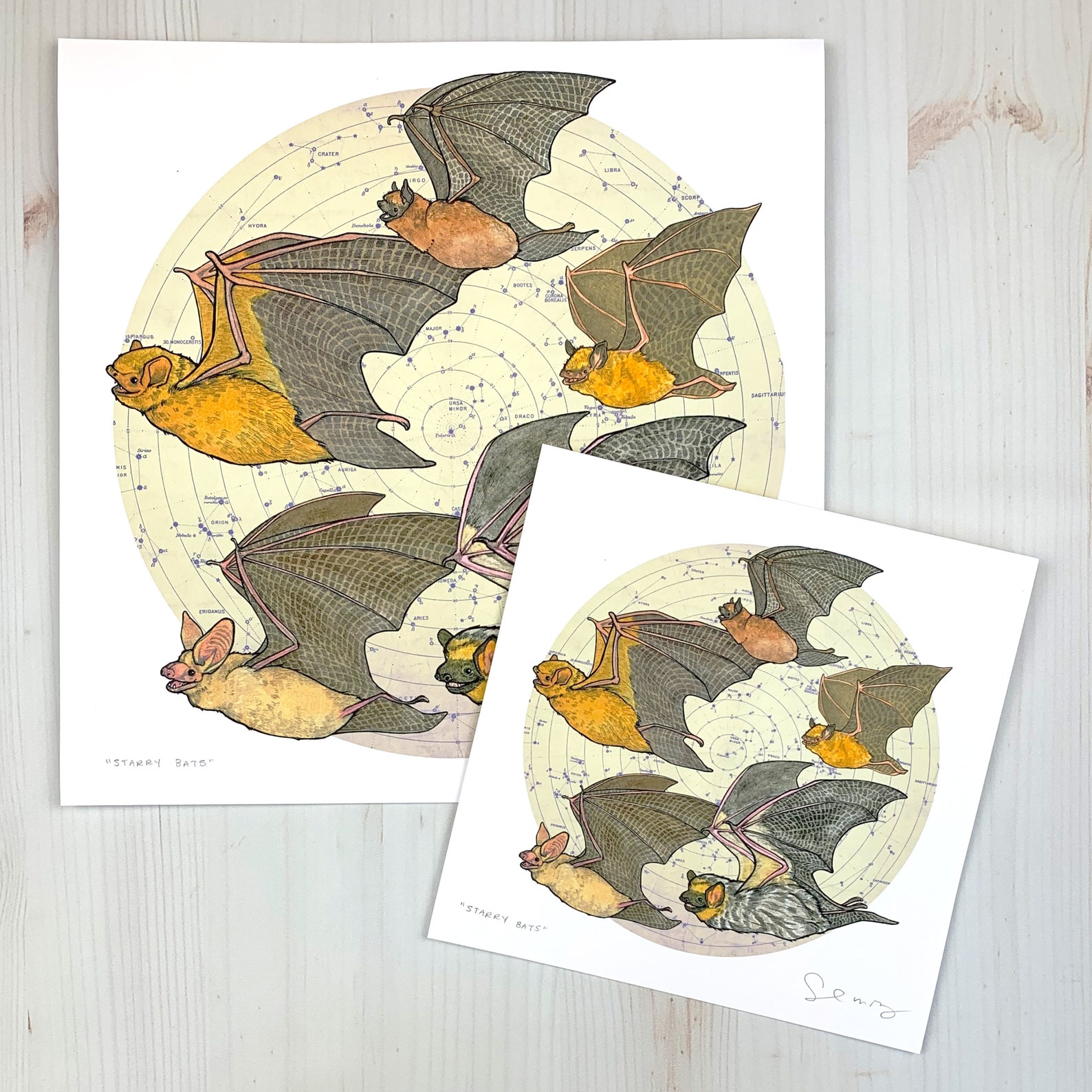 Starry Bats North American Native Bats Archival Print - Etsy
