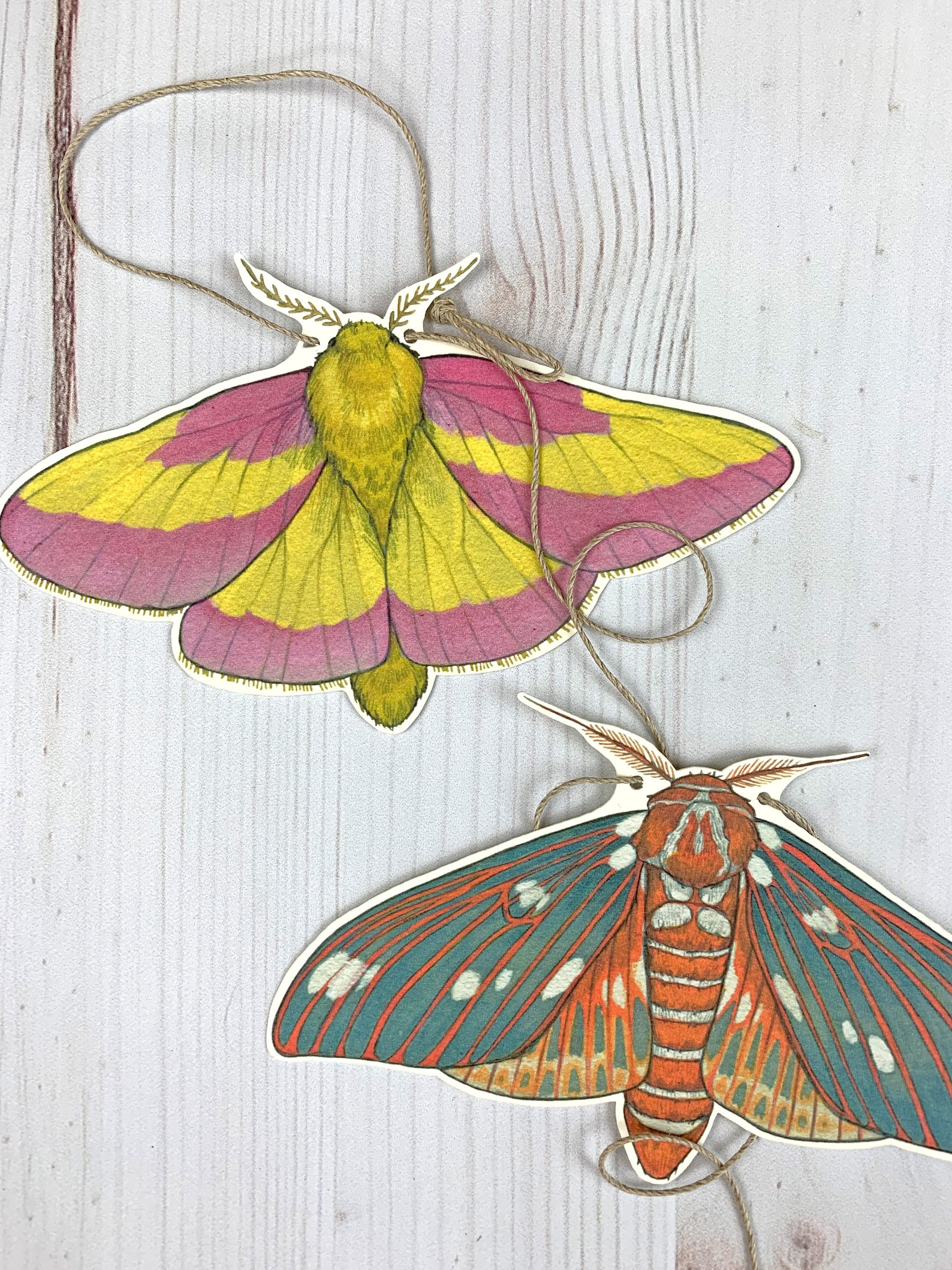 Colorful Moth Illustrated Garland - Etsy